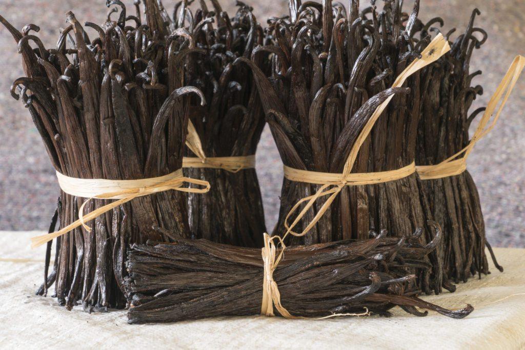 The Art of Curing Vanilla Beans: Cook Flavoring Company